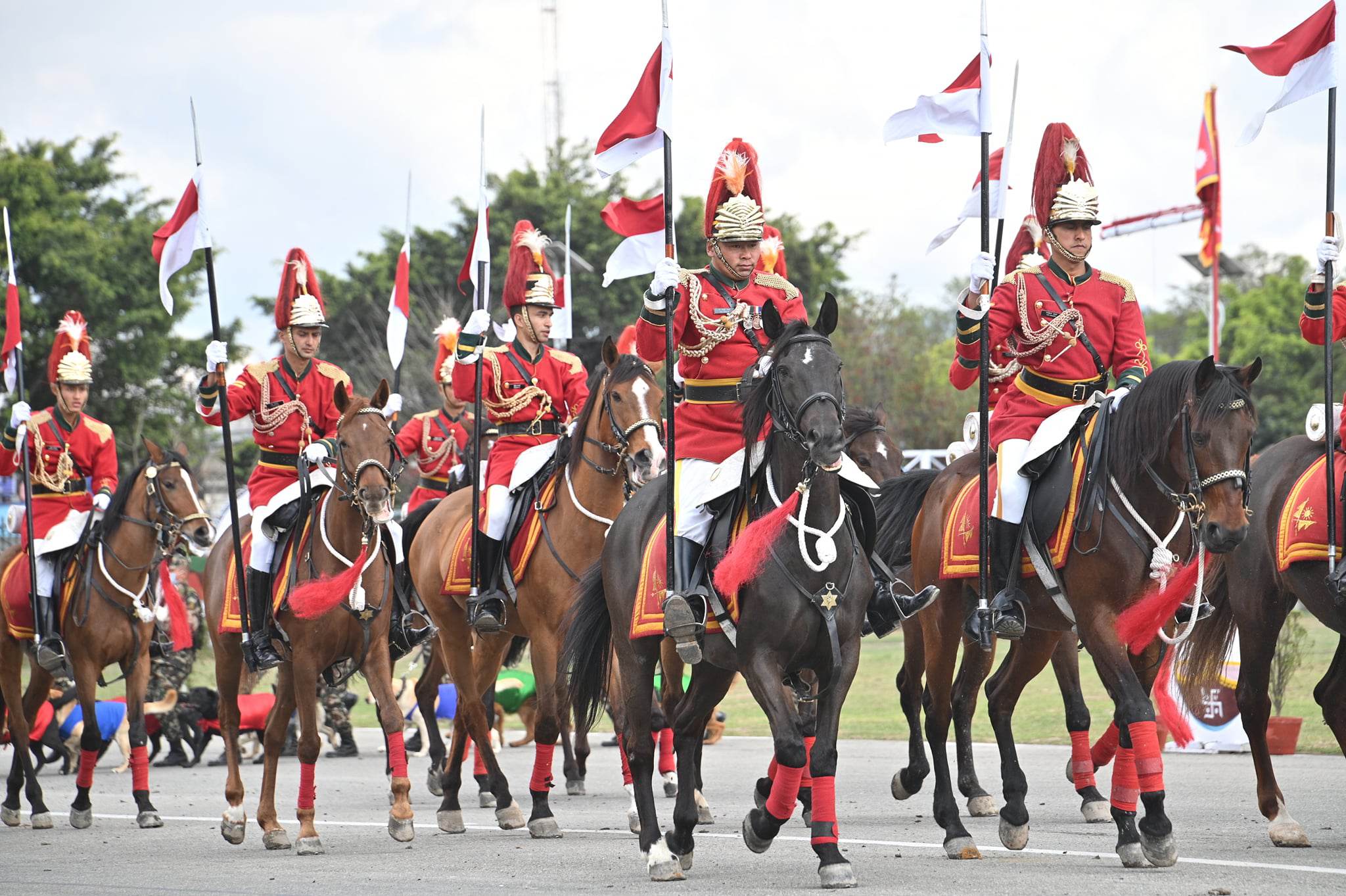 आज घोडे जात्रा, काठमाडौं उपत्यकामा बिदा